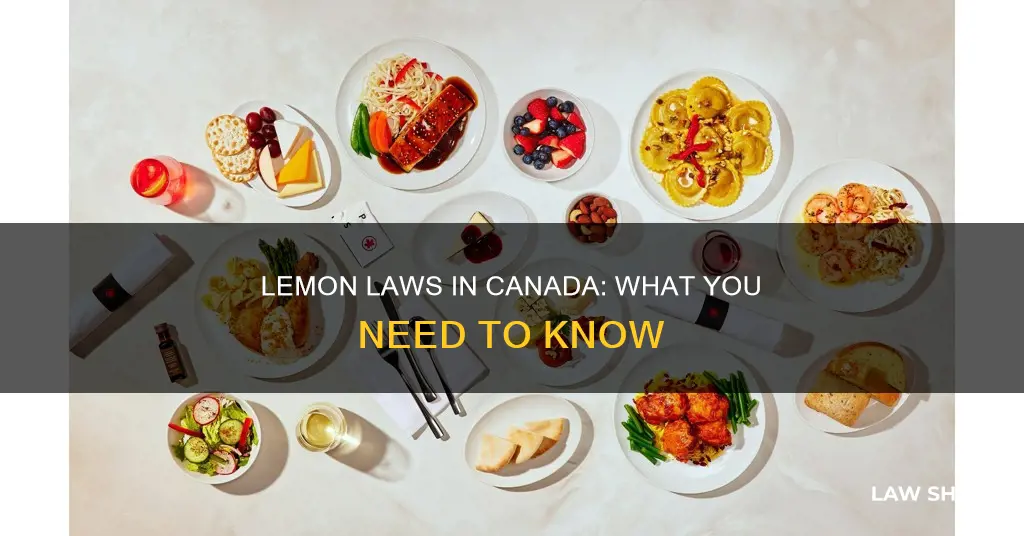 Lemon Laws In Canada: What You Need To Know | LawShun