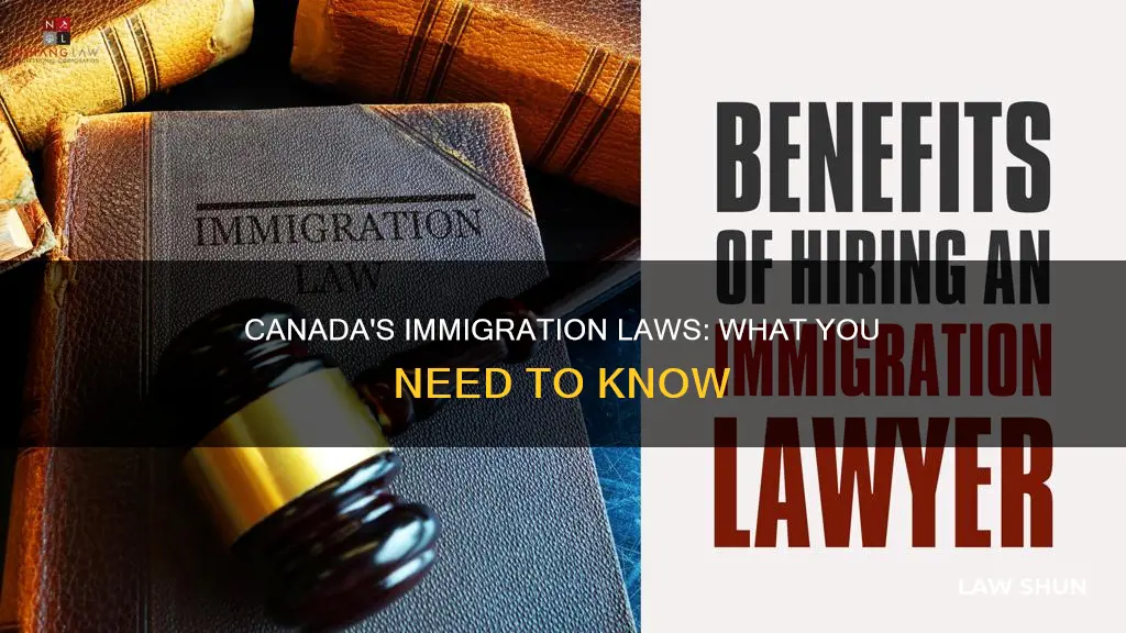 Canada's Immigration Laws: What You Need To Know | LawShun
