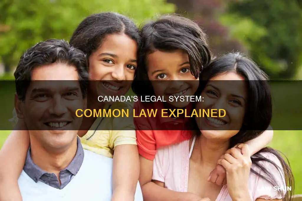 Canada's Legal System: Common Law Explained | LawShun