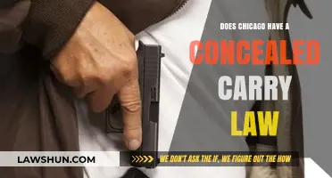 Illinois Open Carry Law: Understanding The State's Firearms Regulations ...