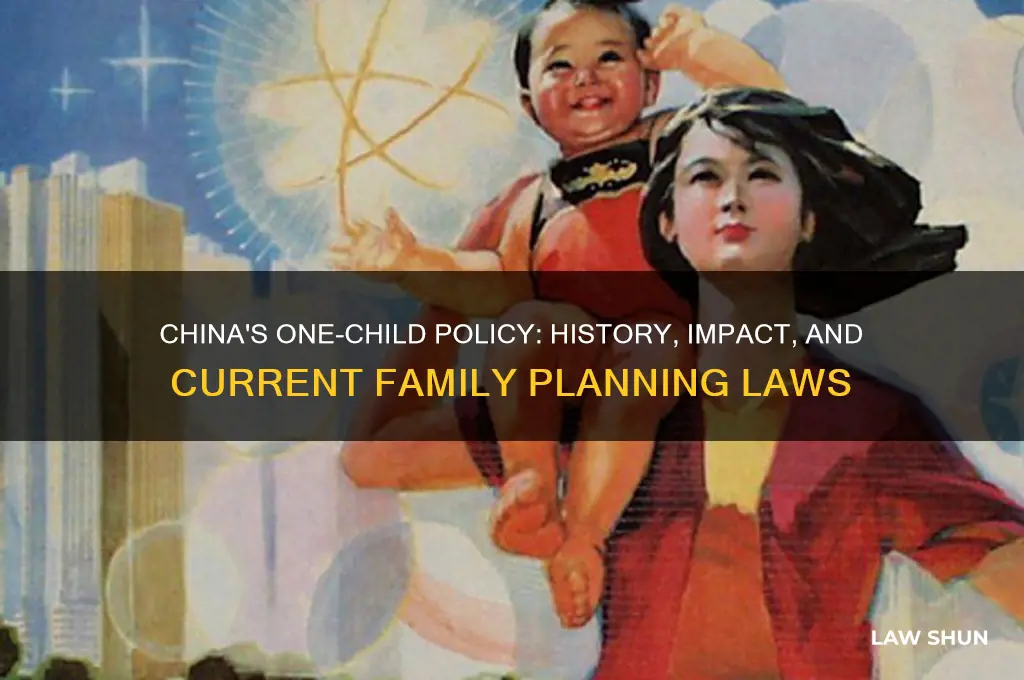China's One-Child Policy: History, Impact, And Current Family Planning ...