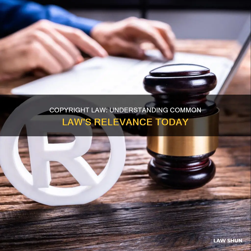 Copyright Law: Understanding Common Law's Relevance Today | LawShun