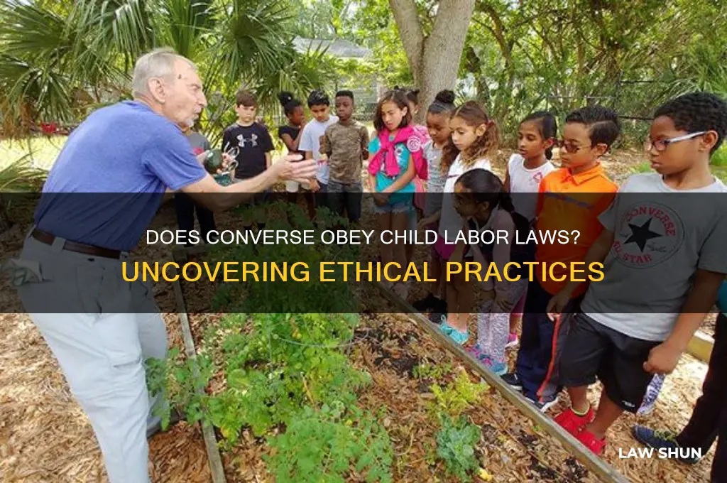 Does Converse Obey Child Labor Laws? Uncovering Ethical Practices | LawShun