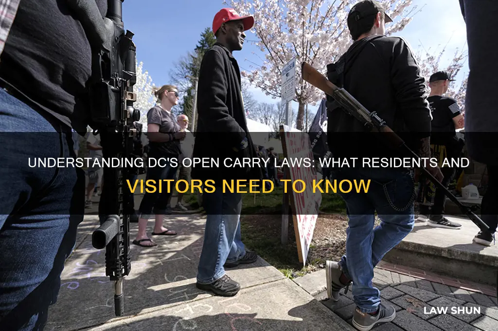Understanding Dc's Open Carry Laws: What Residents And Visitors Need To ...