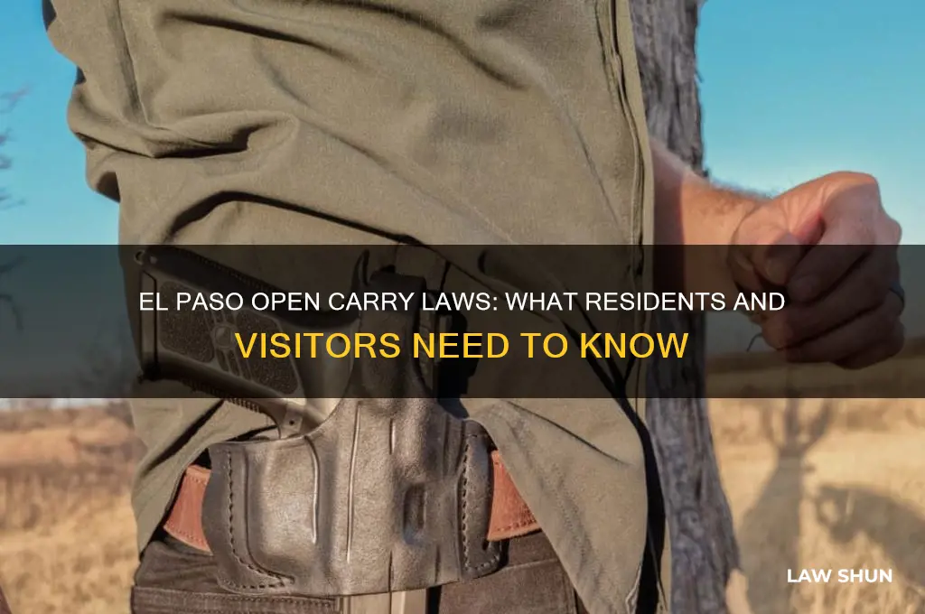 El Paso Open Carry Laws: What Residents And Visitors Need To Know | LawShun