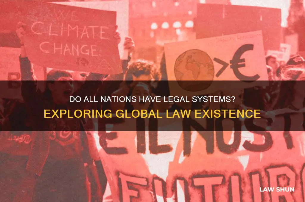 Do All Nations Have Legal Systems? Exploring Global Law Existence | LawShun