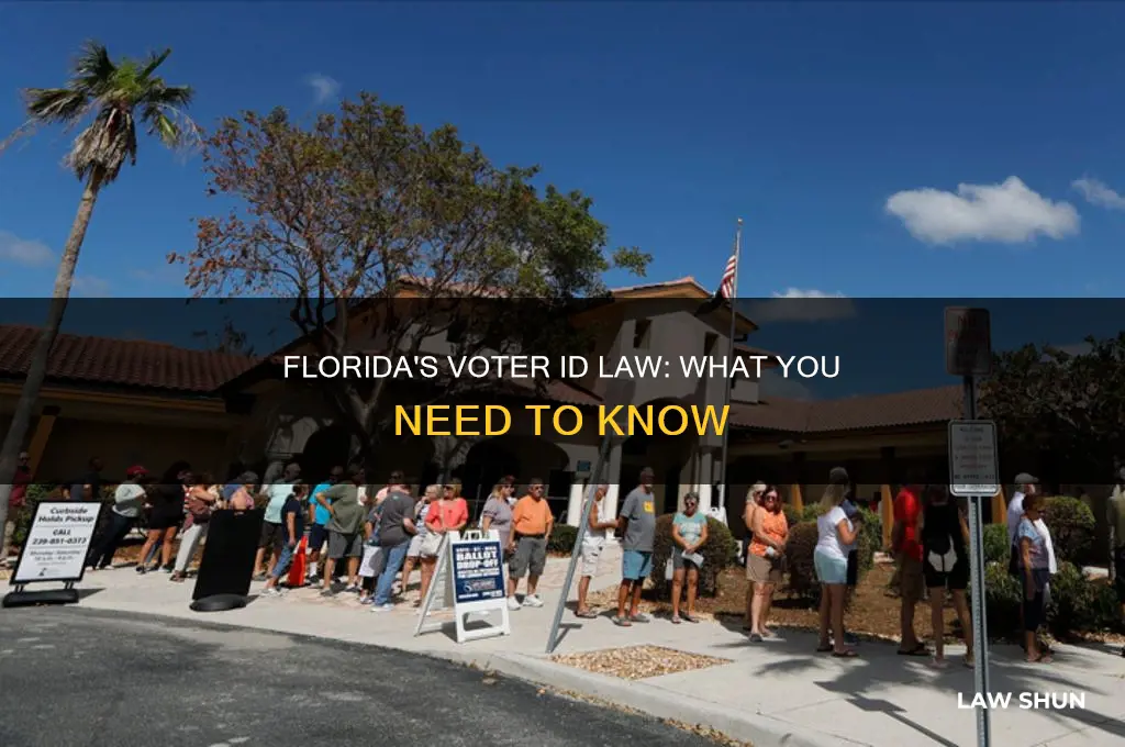 Florida's Voter Id Law: What You Need To Know | LawShun