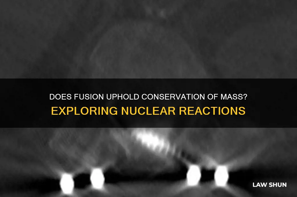 Does Fusion Uphold Conservation Of Mass? Exploring Nuclear Reactions ...