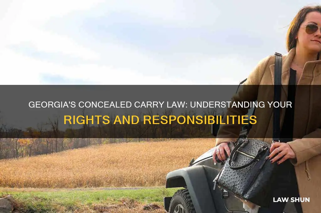 Georgia's Concealed Carry Law: Understanding Your Rights And ...