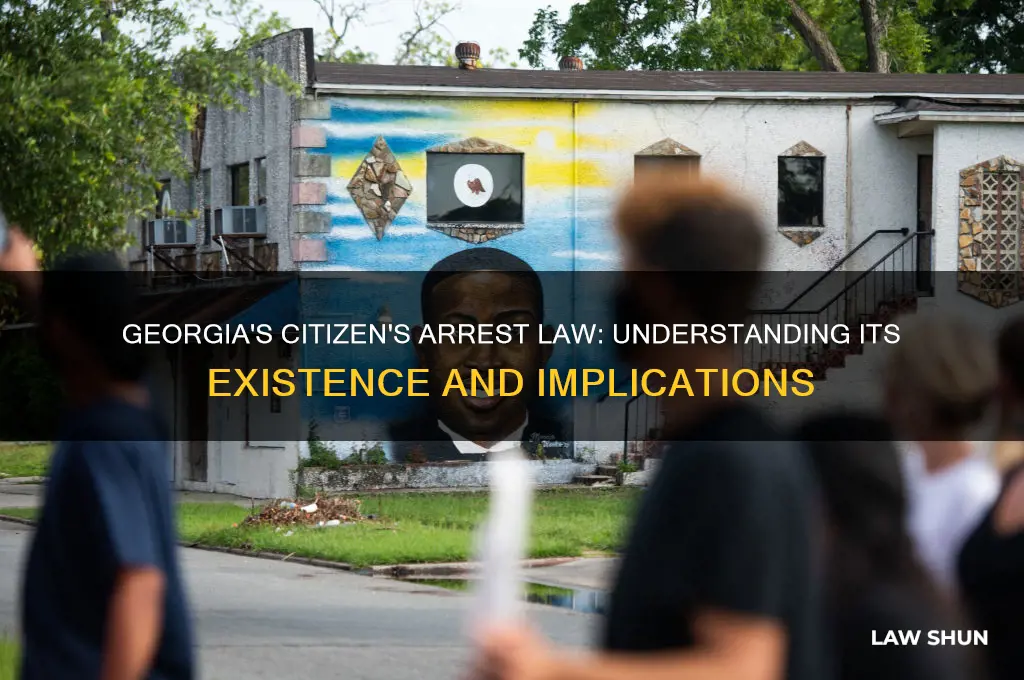 Georgia's Citizen's Arrest Law: Understanding Its Existence And ...