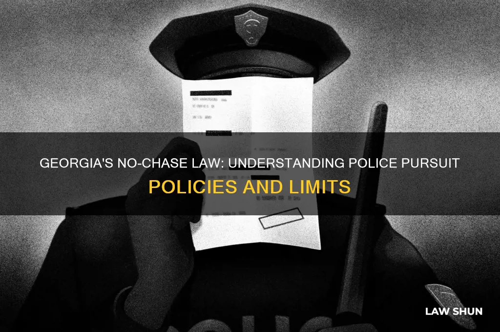 Georgia's No-Chase Law: Understanding Police Pursuit Policies And ...