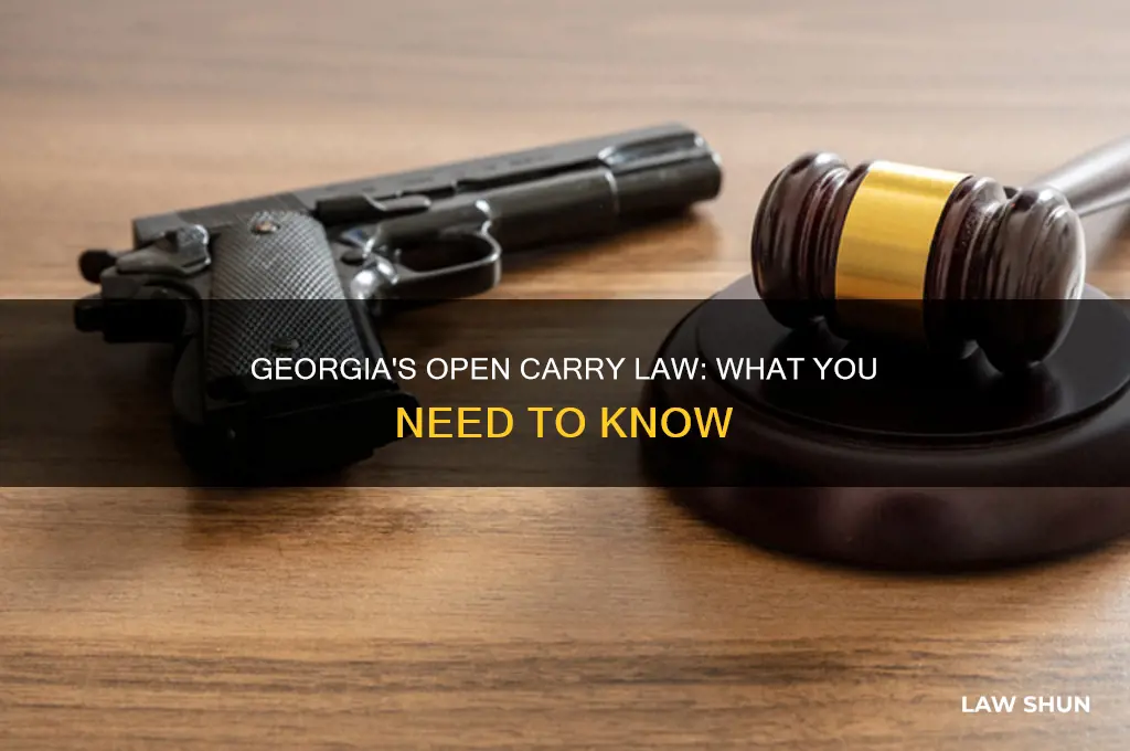 Georgia's Open Carry Law: What You Need To Know | LawShun