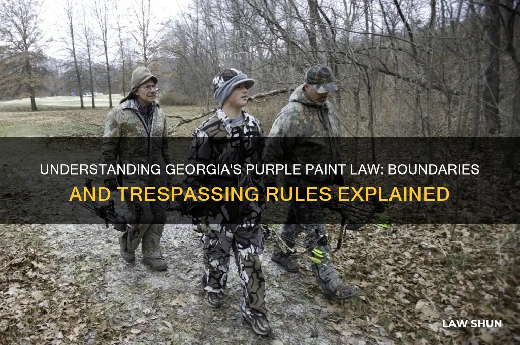 Understanding Georgia's Purple Paint Law: Boundaries And Trespassing ...