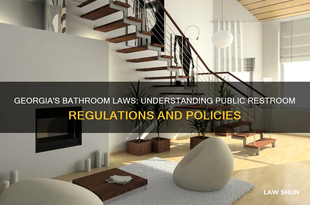 Georgia's Bathroom Laws: Understanding Public Restroom Regulations And ...