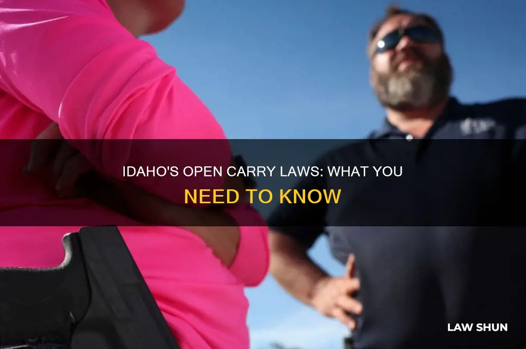 Idaho's Open Carry Laws: What You Need To Know | LawShun