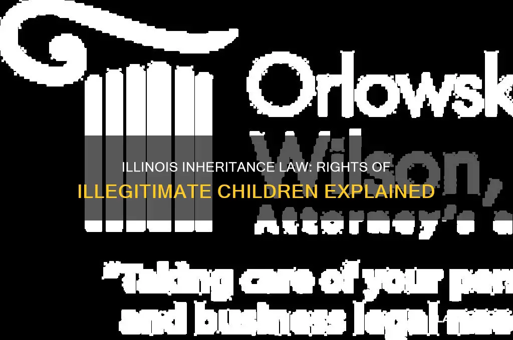 Illinois Inheritance Law: Rights Of Illegitimate Children Explained ...