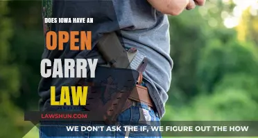 Maryland's Open Carry Laws: What You Need To Know | LawShun