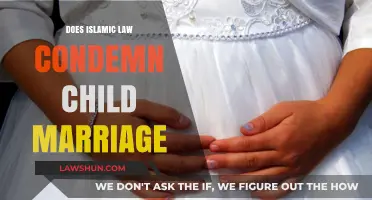 Japan's Family Planning: Debunking The One-Child Policy Myth | LawShun