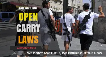 Georgia's Open Carry Law: What You Need To Know | LawShun