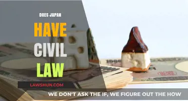 Does Civil Law Use Juries? Understanding Jury Roles In Civil Cases ...