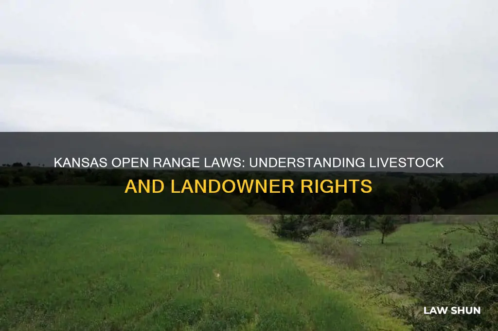 Kansas Open Range Laws: Understanding Livestock And Landowner Rights ...