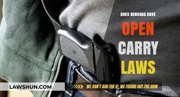 Understanding North Carolina's Open Carry Laws: What You Need To Know ...