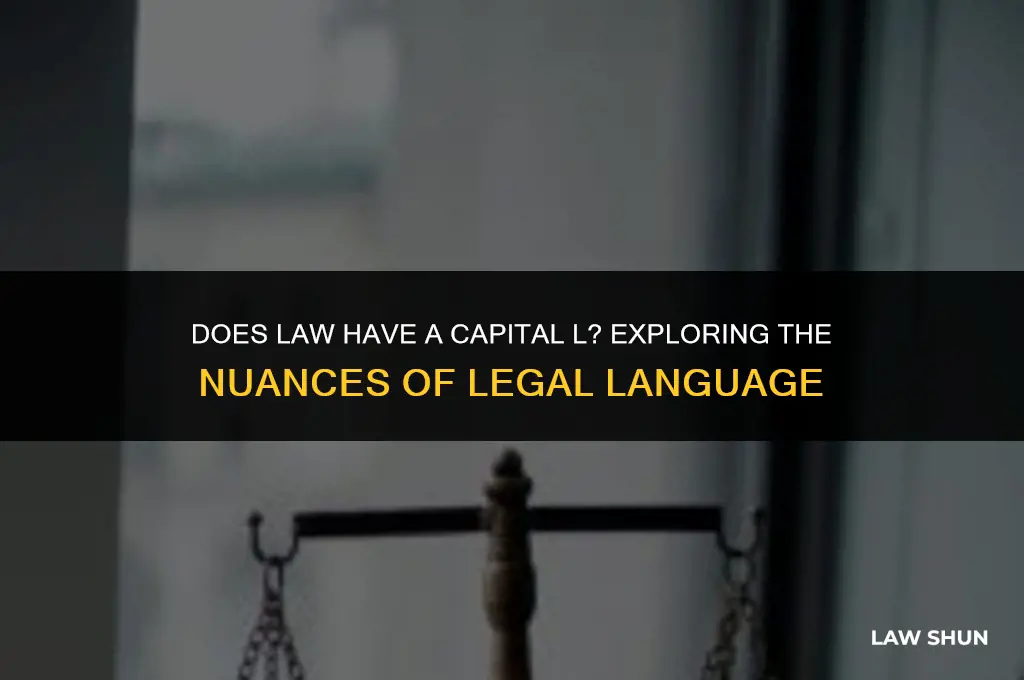 Does Law Have A Capital L? Exploring The Nuances Of Legal Language ...