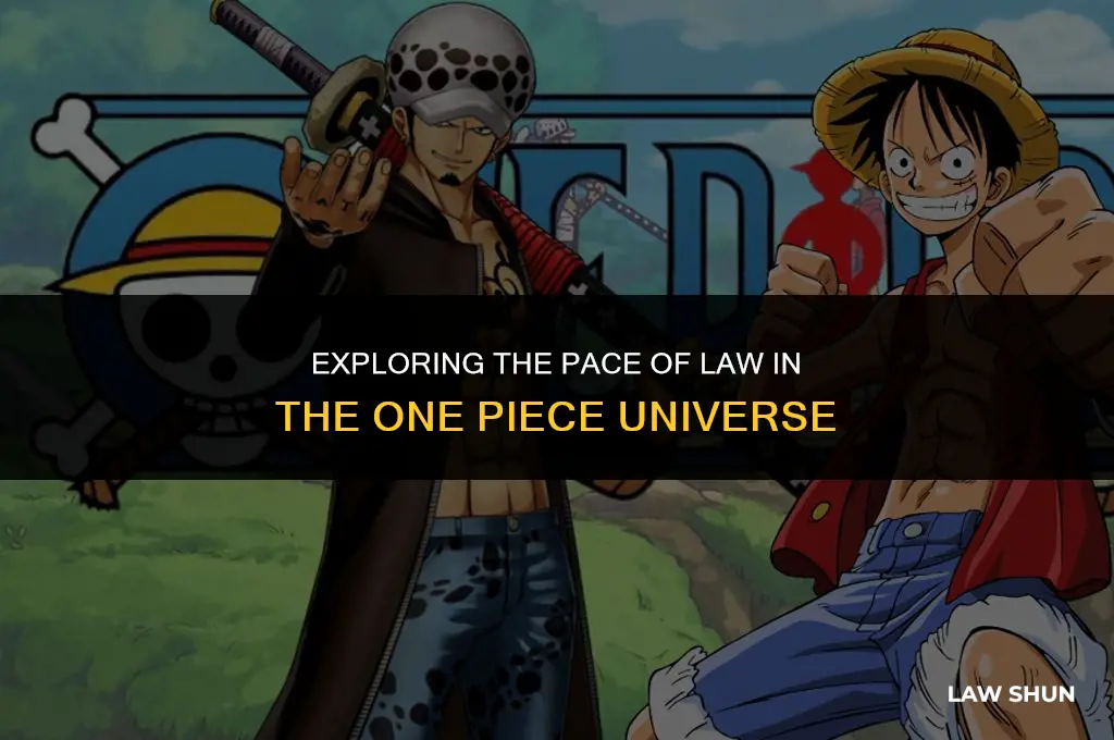 Exploring The Pace Of Law In The One Piece Universe | LawShun