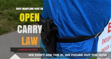 Understanding North Carolina's Open Carry Laws: What You Need To Know ...