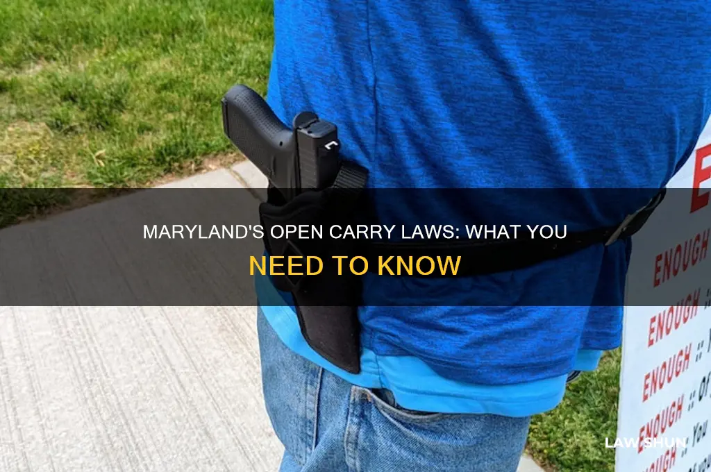 Maryland's Open Carry Laws: What You Need To Know | LawShun
