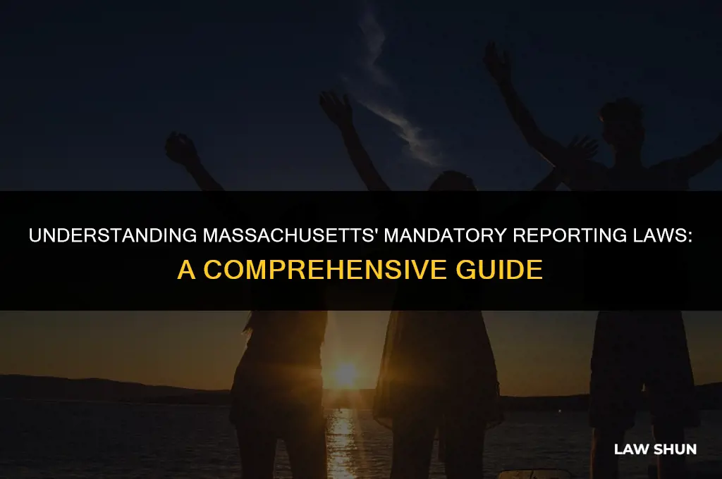 Understanding Massachusetts' Mandatory Reporting Laws: A Comprehensive ...