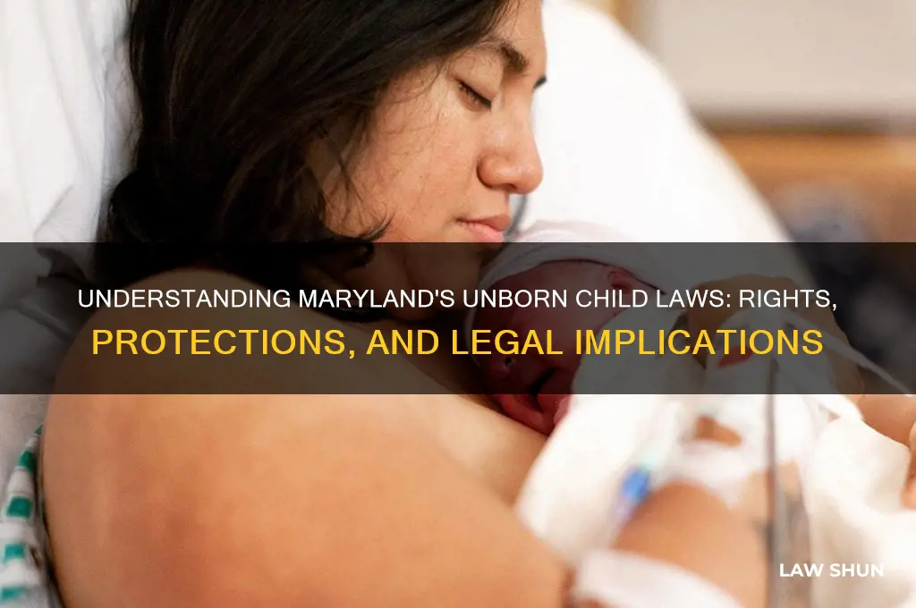 Understanding Maryland's Unborn Child Laws: Rights, Protections, And ...