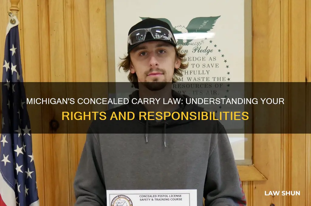 Michigan's Concealed Carry Law: Understanding Your Rights And ...
