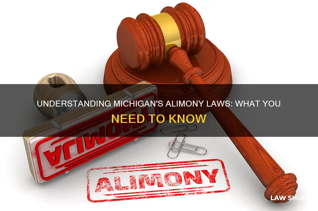 Understanding Michigan's Alimony Laws: What You Need To Know | LawShun