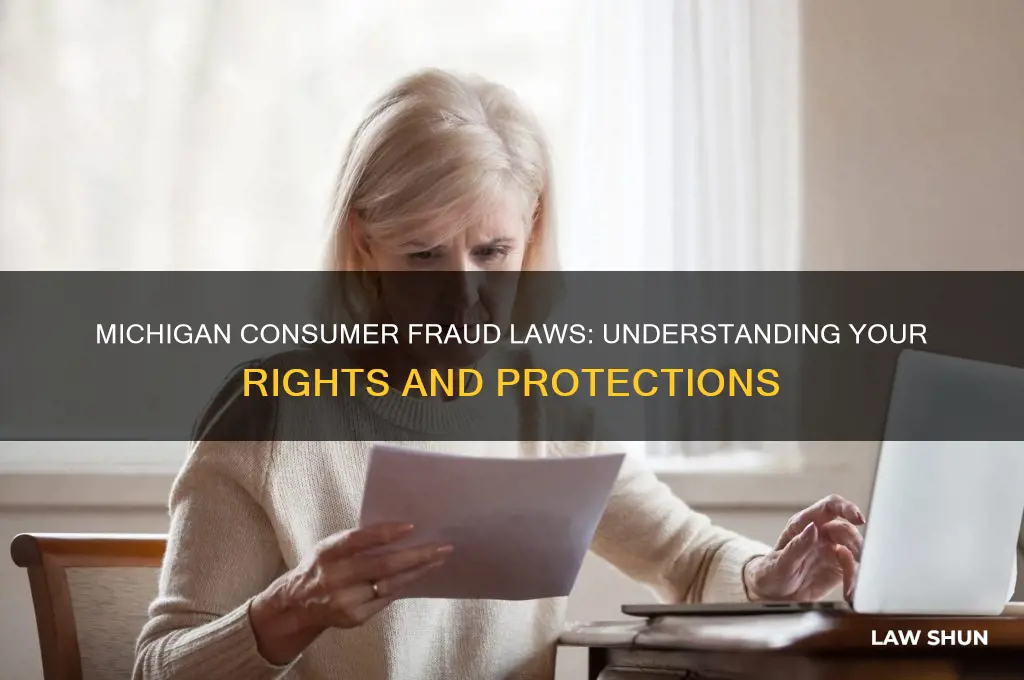 Michigan Consumer Fraud Laws: Understanding Your Rights And Protections ...