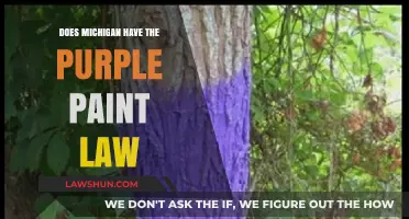 Michigan's Repeat Offender Laws: Understanding The Three Strikes Debate ...