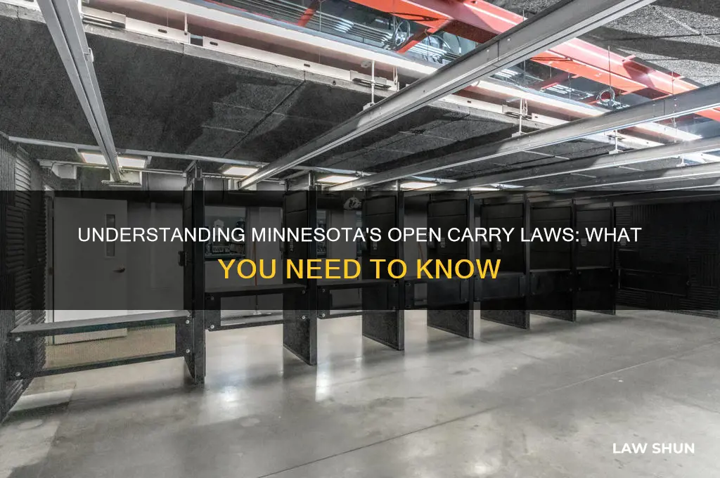 Understanding Minnesota's Open Carry Laws: What You Need To Know | LawShun