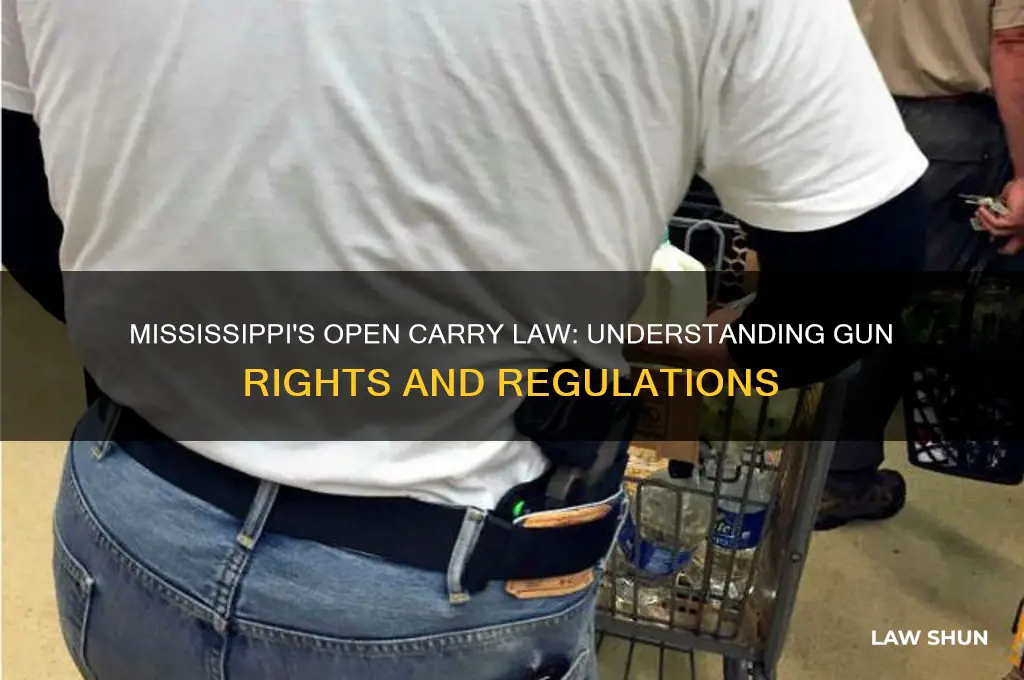 Mississippi's Open Carry Law: Understanding Gun Rights And Regulations ...