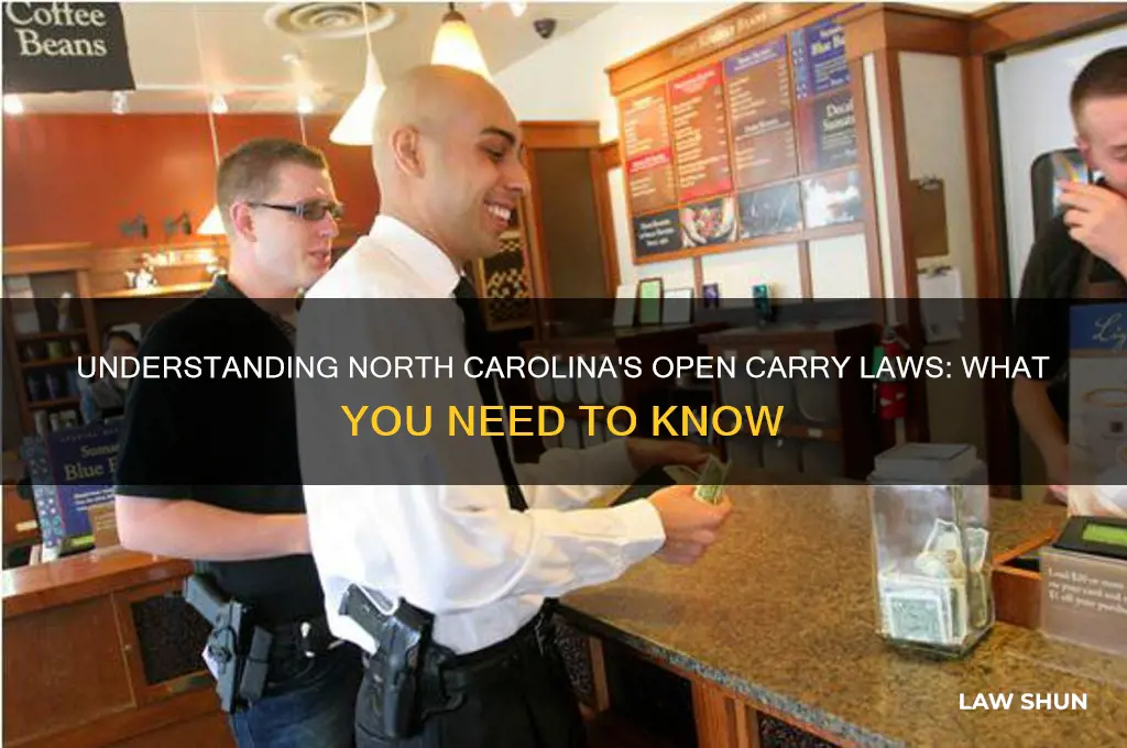 Understanding North Carolina's Open Carry Laws: What You Need To Know ...