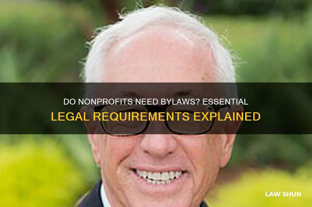 Do Nonprofits Need Bylaws? Essential Legal Requirements Explained | LawShun