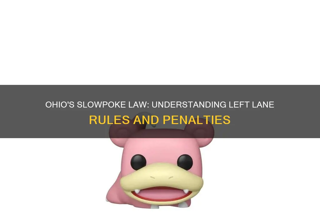 Ohio's Slowpoke Law: Understanding Left Lane Rules And Penalties | LawShun