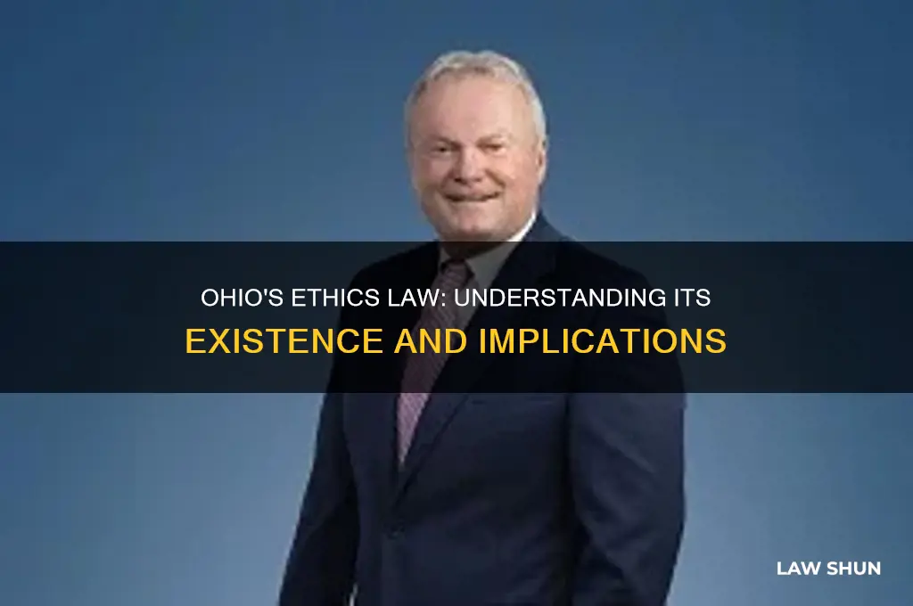 Ohio's Ethics Law: Understanding Its Existence And Implications | LawShun
