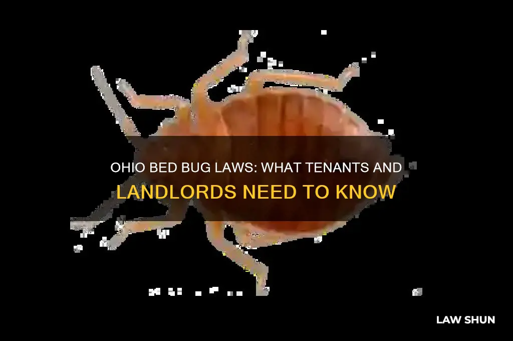 Ohio Bed Bug Laws: What Tenants And Landlords Need To Know | LawShun