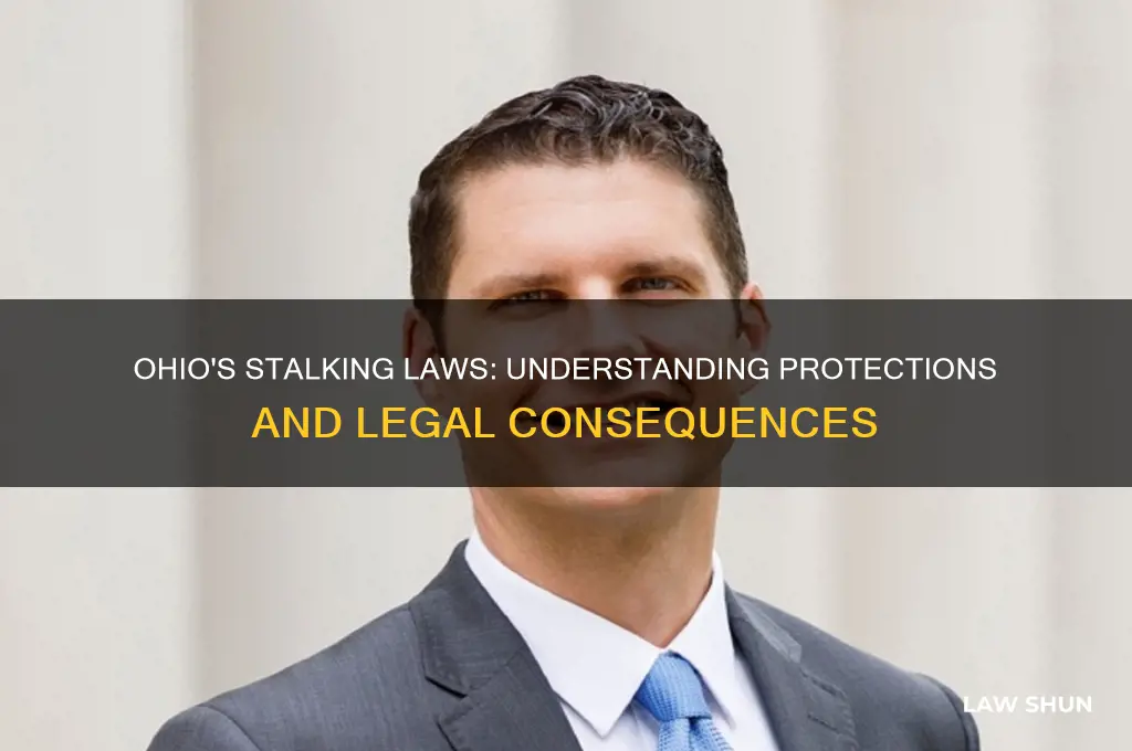 Ohio's Stalking Laws: Understanding Protections And Legal Consequences ...