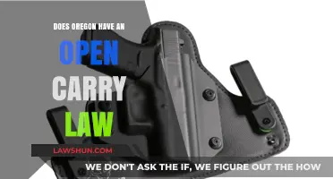 Understanding North Carolina's Open Carry Laws: What You Need To Know ...