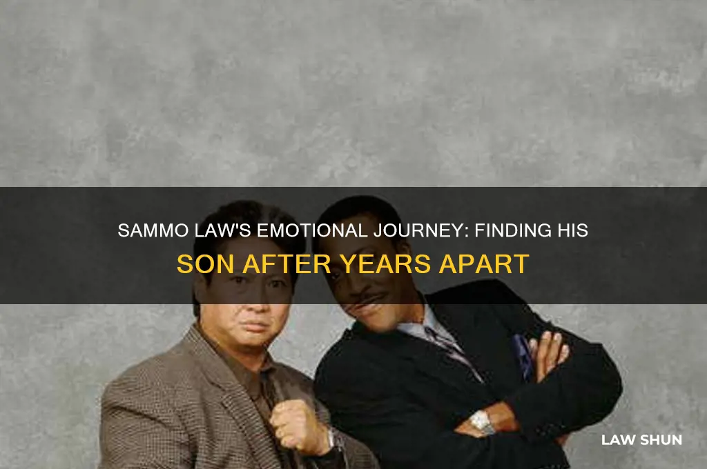 Sammo Law's Emotional Journey: Finding His Son After Years Apart | LawShun