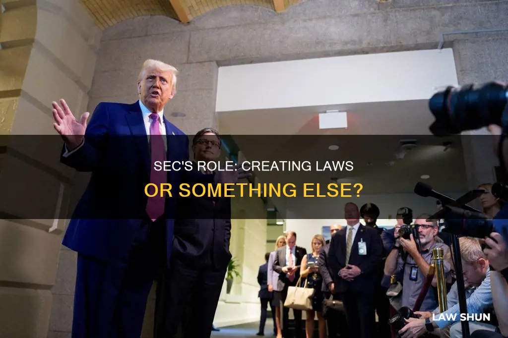 Sec's Role: Creating Laws Or Something Else? | LawShun