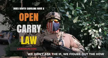 Texas Open Carry Law: Understanding The State's Gun Regulations | LawShun
