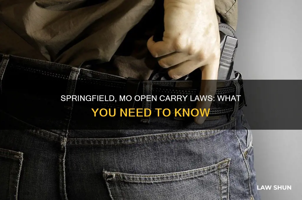Springfield, Mo Open Carry Laws: What You Need To Know | LawShun