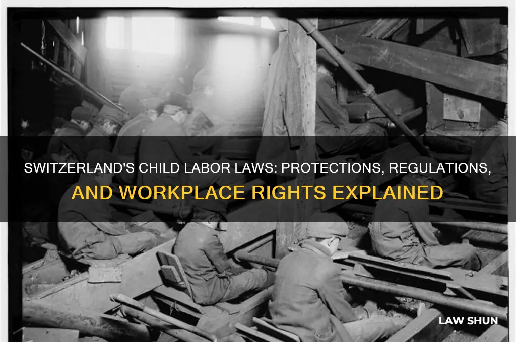 Switzerland's Child Labor Laws: Protections, Regulations, And Workplace ...